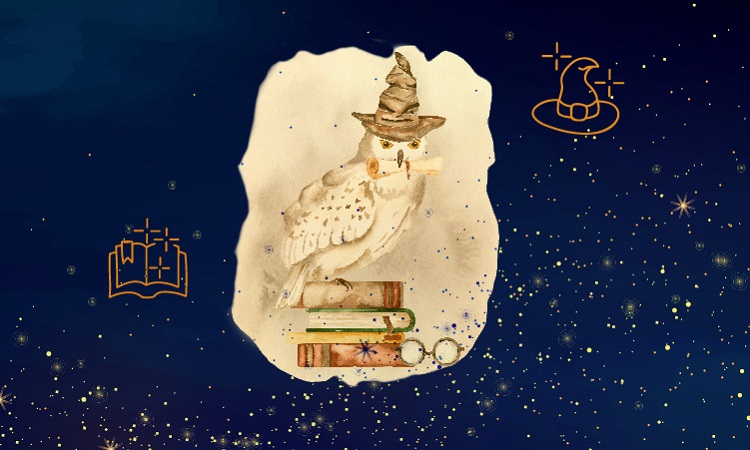 MCCS Magic for Muggles